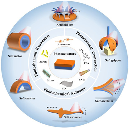 Light-Driven Bimorph Soft Actuators-